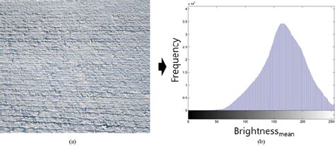 A Original Image Sample B Plot Of Brightness Histogram Download Scientific Diagram