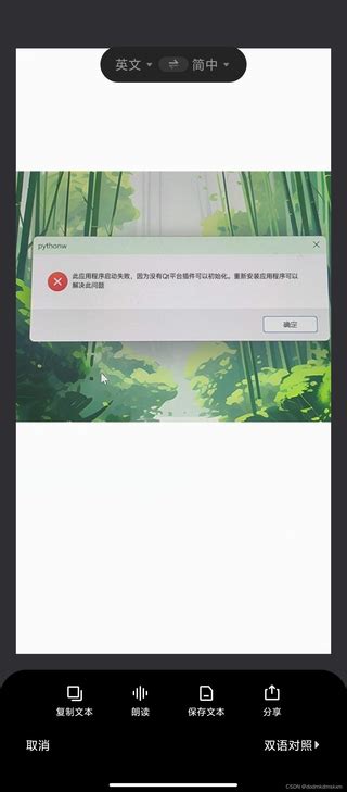 此应用程序启动失败，因为没有qt平台插件可以初始化。重新安装应用程序可以 解决此问题编程语言 Csdn问答