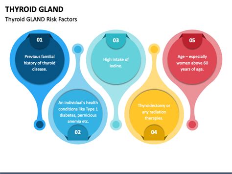 Thyroid Gland PowerPoint And Google Slides Template PPT Slides