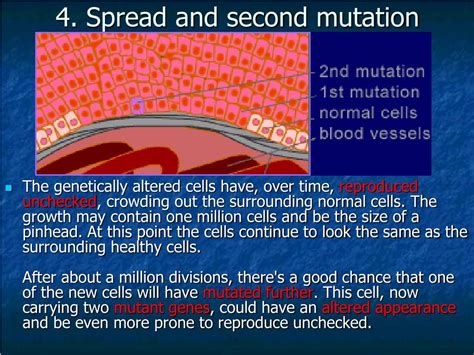 Ppt P 181 Powerpoint Presentation Free Download Id2029084