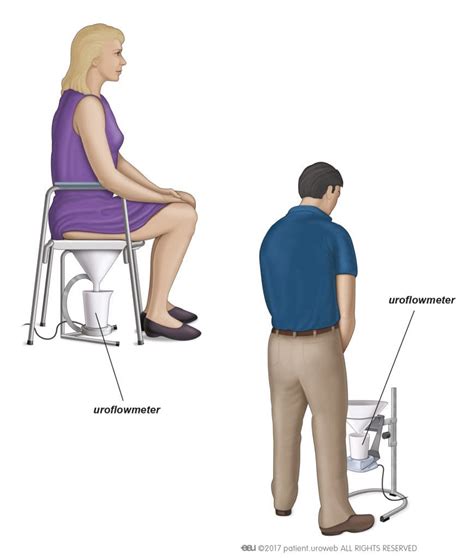 Best Diagnostic Center In Delhi Noida Saral Diagnostics