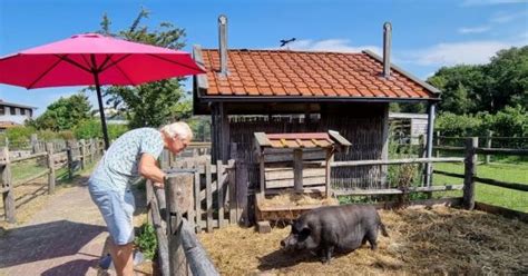 [100세 뇌건강⑧]병보다 사람 농업과 함께하는 치매 돌봄 케어팜