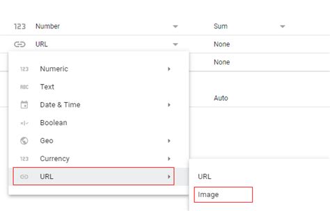 Image Data Type In Looker Studio Optimize Smart