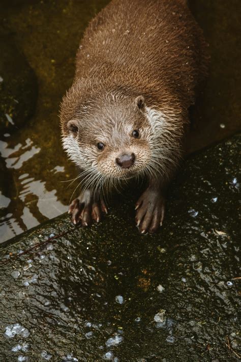 Cutegirlstelegraph Photos Download The Best Free Cutegirls