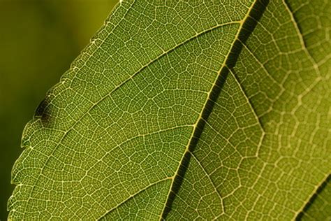 How To Create 3d Cell Model Stepbystep Solution Ipam Power Hub