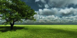 How To Put Image Gallery In Web Page Sololearn Learn To Code For