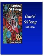 Exploring Cell Biology Essential Concepts Chemical Components Course Hero