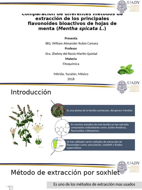 Comparación De Diferentes Métodos De Extracción De Los Pdf Solvente Dióxido De Carbono