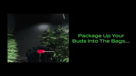 New Weed Processing And Selling Script For Qbcore Fivem Realistic Drug