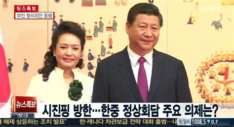시진핑 부인 펑리위안 별그대 언급 시진핑 주석 도민준 닮았다 밝혀 전자신문
