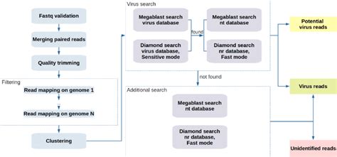 Visual Representation Of The Viridal Bioinformatics Pipeline For Download Scientific Diagram