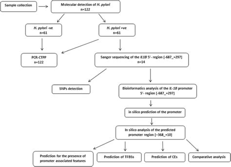 Schematic Representation Of The Methodology Download Scientific Diagram