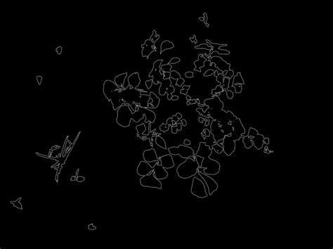 エッジ検出 Opencv Python3 を利用したエッジ検出