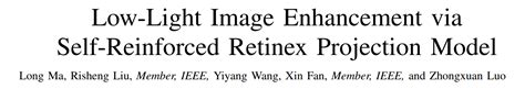 Low Light Image Enhancement Via Self Reinforced Retinex Projection