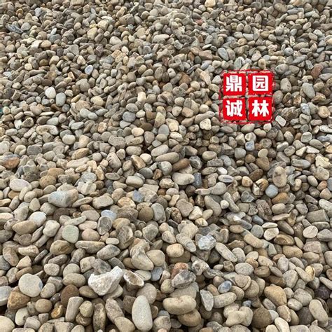杂色鹅卵石品种大个的石头有什么作用呢？ 知乎