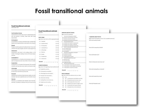 Fossil Transitional Animals Made By Teachers