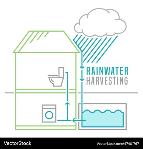 rainwater harvesting scheme editable isolated vector image