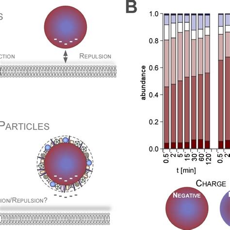 Size Range Of Particulate Organic Matter Pom And Dissolved Organic