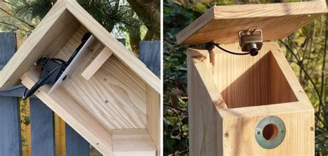 How To Set Up A Nest Box Camera Easy Steps