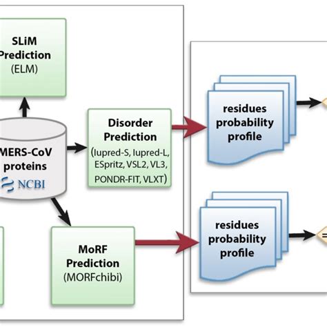 Schematic Representation Of The Computational Analysis Applied To The