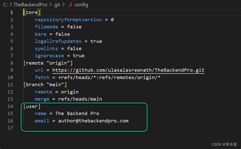 如何在Git中为每个仓库设置不同的用户名和电子邮件 git 设置当前仓库用户 CSDN博客