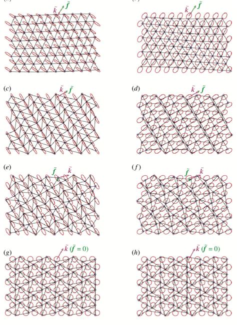 Displacements Fields In The Chiral Lattice With Spinner Download