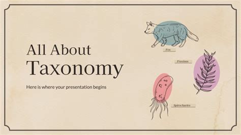 Ppt Ch 10 Taxonomy And Classification Powerpoint