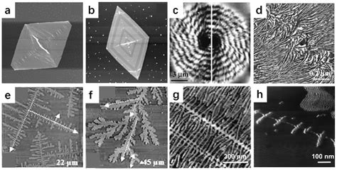 Recent Progress On The Characterization Of Polymer Crystallization By