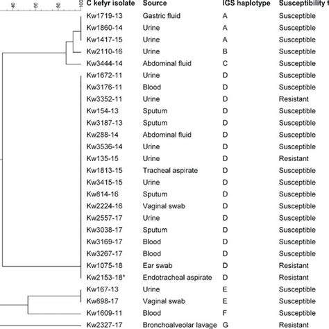 Dendrogram Based On Unweighted Pair Group Method With Arithmetic Mean Download Scientific