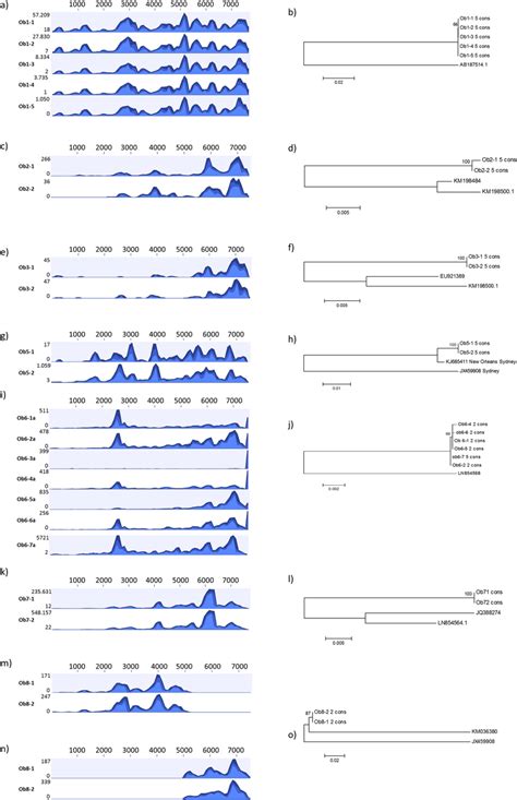 Genome Coverage And Phylogenetic Comparison Genome Coverages Are Shown Download Scientific