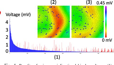 Electroanatomic Mapping To Determine Scar Regions In Patients With