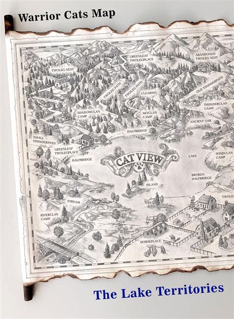 Warrior Cats Map The Lake Territories Handmade Scroll Cat View Map Warrior Cats Book Map