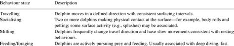 Ethogram Of Bottlenose Dolphin Behavioural States And Interactive Download Scientific Diagram
