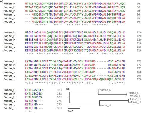 a multiple sequence alignment of mouse l chain uniprot database