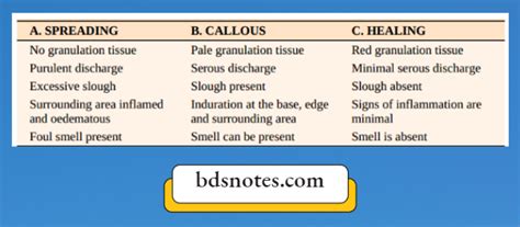 Ulcer Classification And Venous Leg Ulcer Treatment Notes Bds Notes