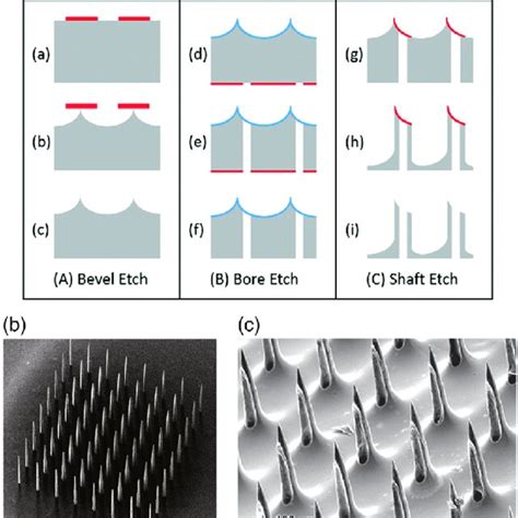 A A Typical Process For Fabrication Of Hollow Silicon Microneedles