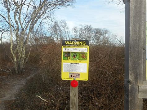 How To Avoid Ticks Dont Let Them Ruin Your Hiking Adventure