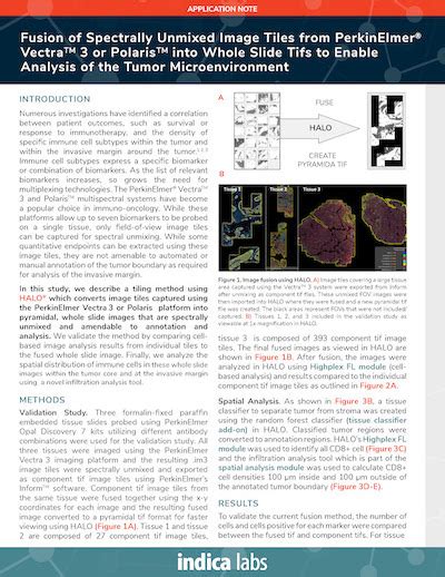 Spatial Analysis Indica Labs