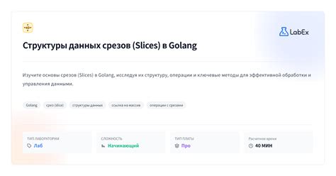 Структуры данных срезов Slices в Golang Labex