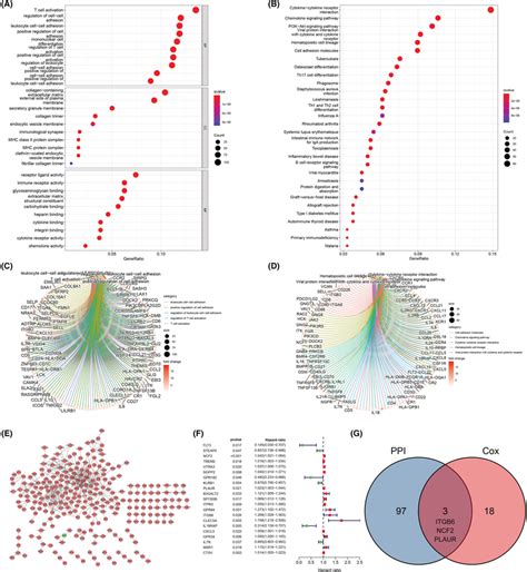 A Bubble Plot And C Circle Plot Of Go Analysis Showing The Download Scientific Diagram