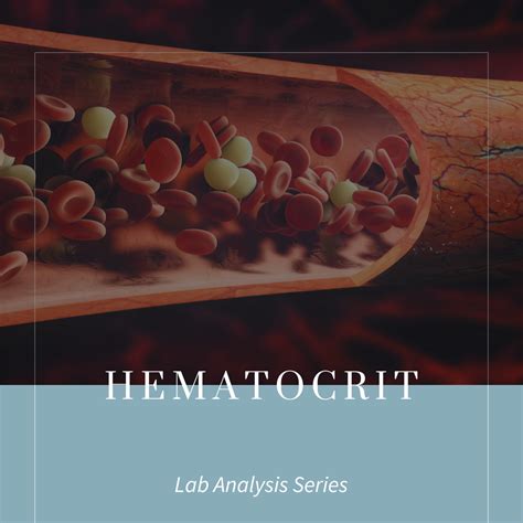 Hematocrit What Highs And Lows Mean In Pregnancy SARAH THOMPSON FUNCTIONAL MATERNITY