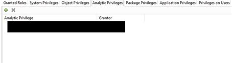 Sap Hana Db Authorization