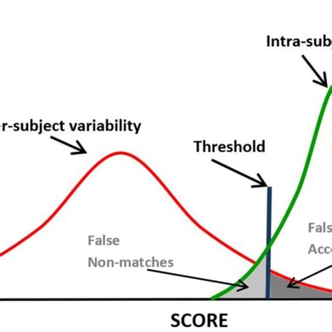 Schematic Overview Of The Allographic Text Dependent Recognition System