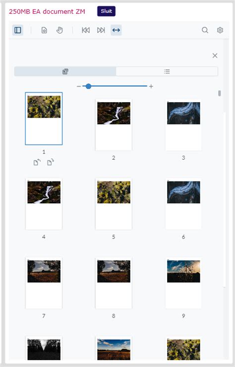 Thumbnailpanel Is Sized To 100 Width Of Webviewer Width When Webviewer