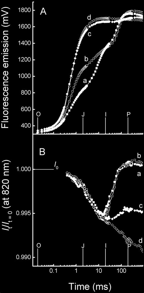 Effect Of Dcmu [3 3 4 Dichlorophenyl 1 1′ Dimethyl Urea] On The Download Scientific Diagram