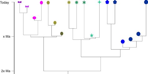 Res I P An Unprofessional Science And Other Things Blog Cladistics Vs Phylogenetics What