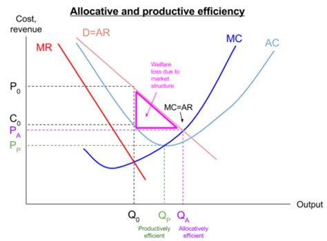 341 Economic Efficiency Flashcards Quizlet