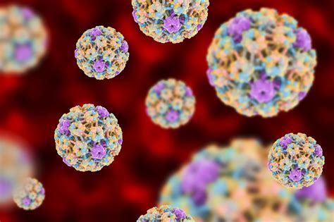 Hpv Information Sieccan