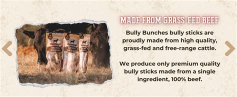 Bully Bunches Premium 6 Inch Standard Odour Free Bully Sticks For Small