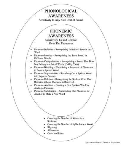 CSDS Exam Flashcards Quizlet